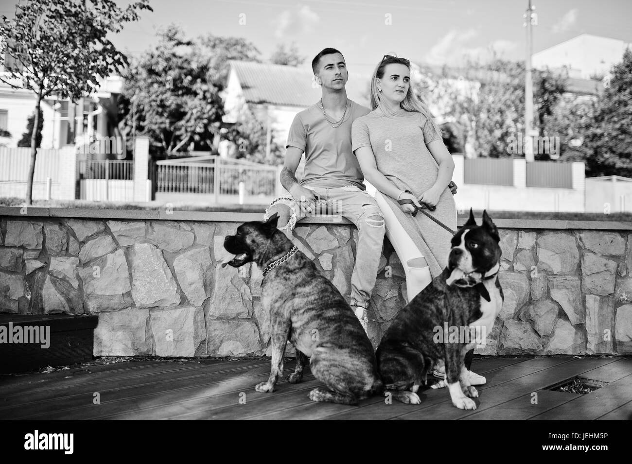 Couple in love with two dogs pit bull terrier on a walk Stock Photo - Alamy