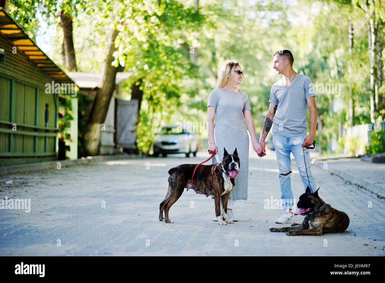 Couple in love with two dogs pit bull terrier on a walk Stock Photo - Alamy