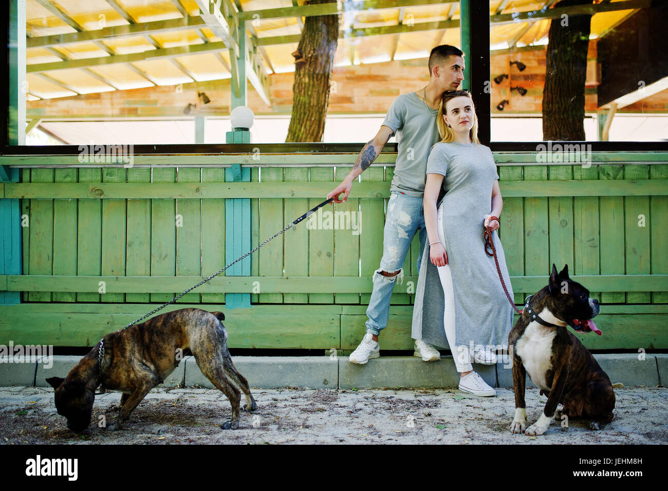 Couple in love with two dogs pit bull terrier on a walk Stock Photo - Alamy