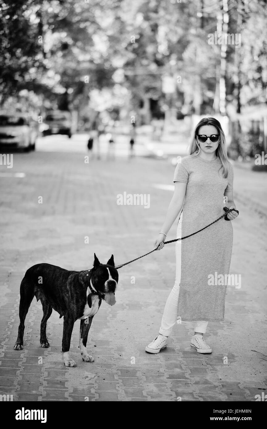 Pit bull Black and White Stock Photos & Images - Alamy