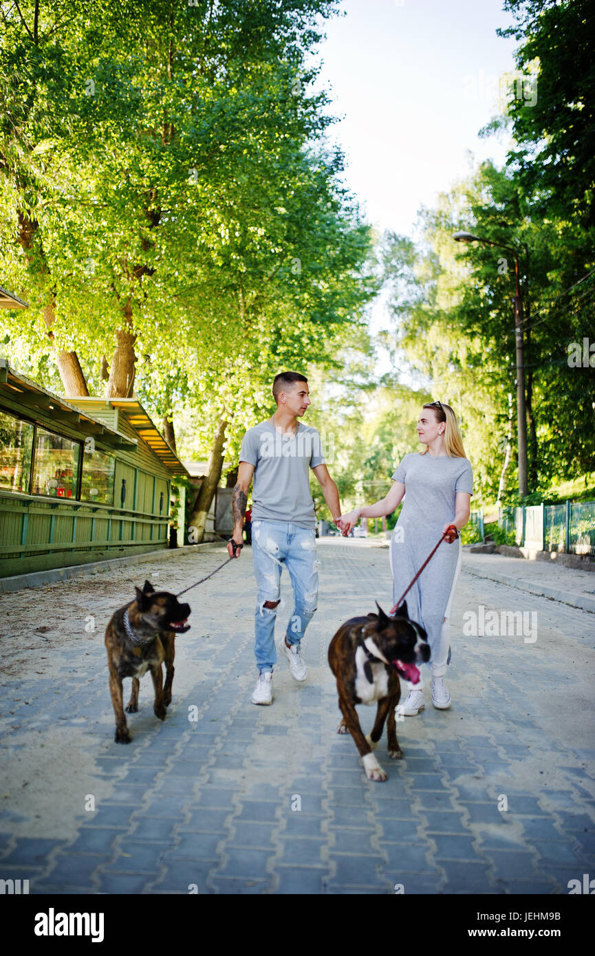 Couple in love with two dogs pit bull terrier on a walk Stock Photo - Alamy