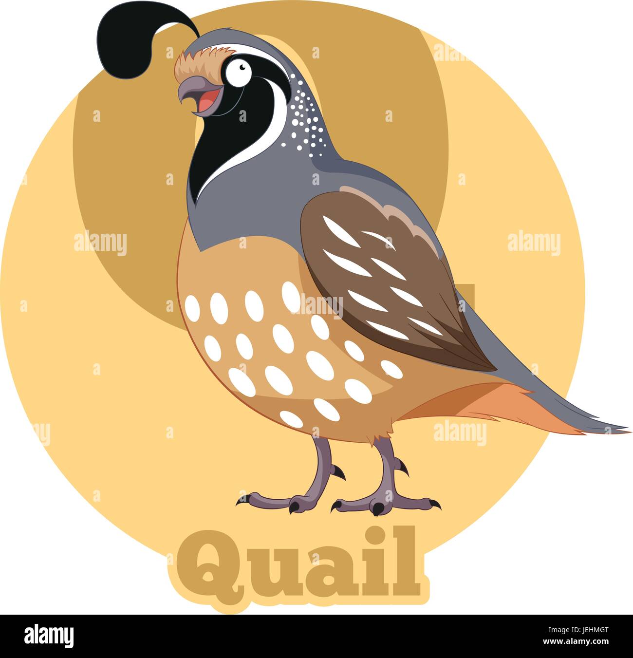 Quail icon hi-res stock photography and images - Alamy