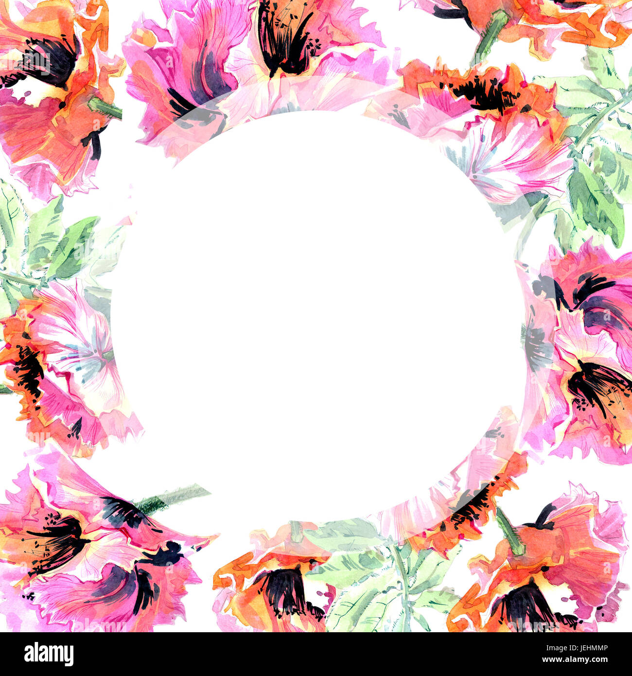 Wildflower poppy flower frame in a watercolor style isolated Stock ...