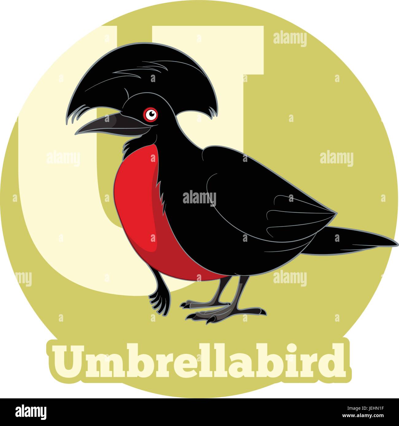 ABC Cartoon Umbrellabird Stock Vector Image & Art - Alamy