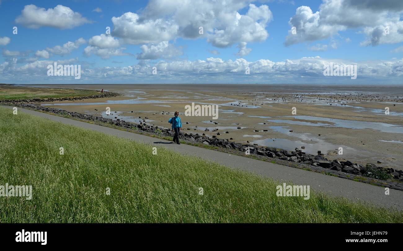 Waddendijk hi-res stock photography and images - Alamy