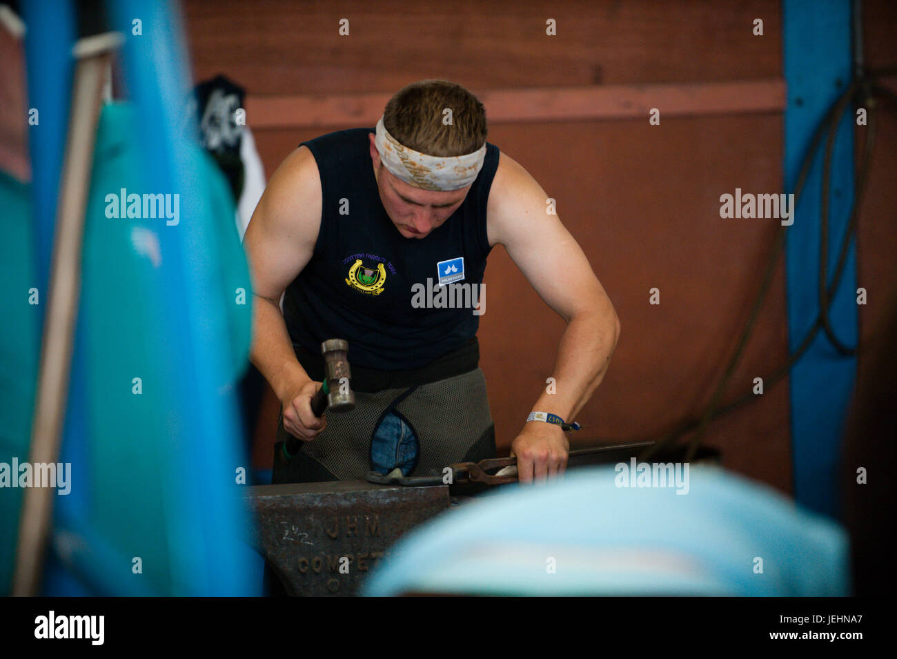Highland cattle market uk hi-res stock photography and images - Alamy