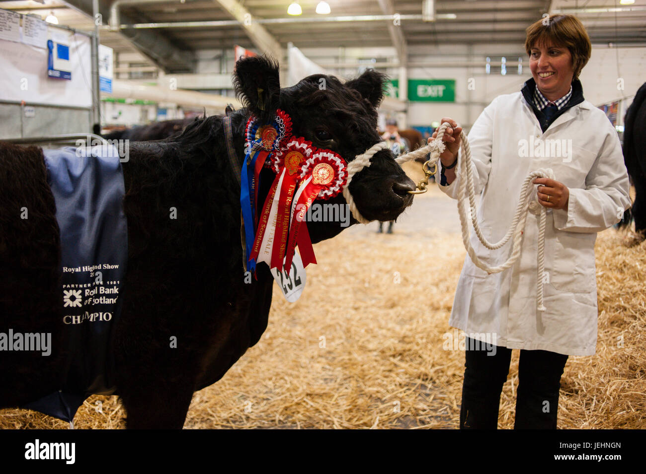 Highland cattle market uk hi-res stock photography and images - Alamy