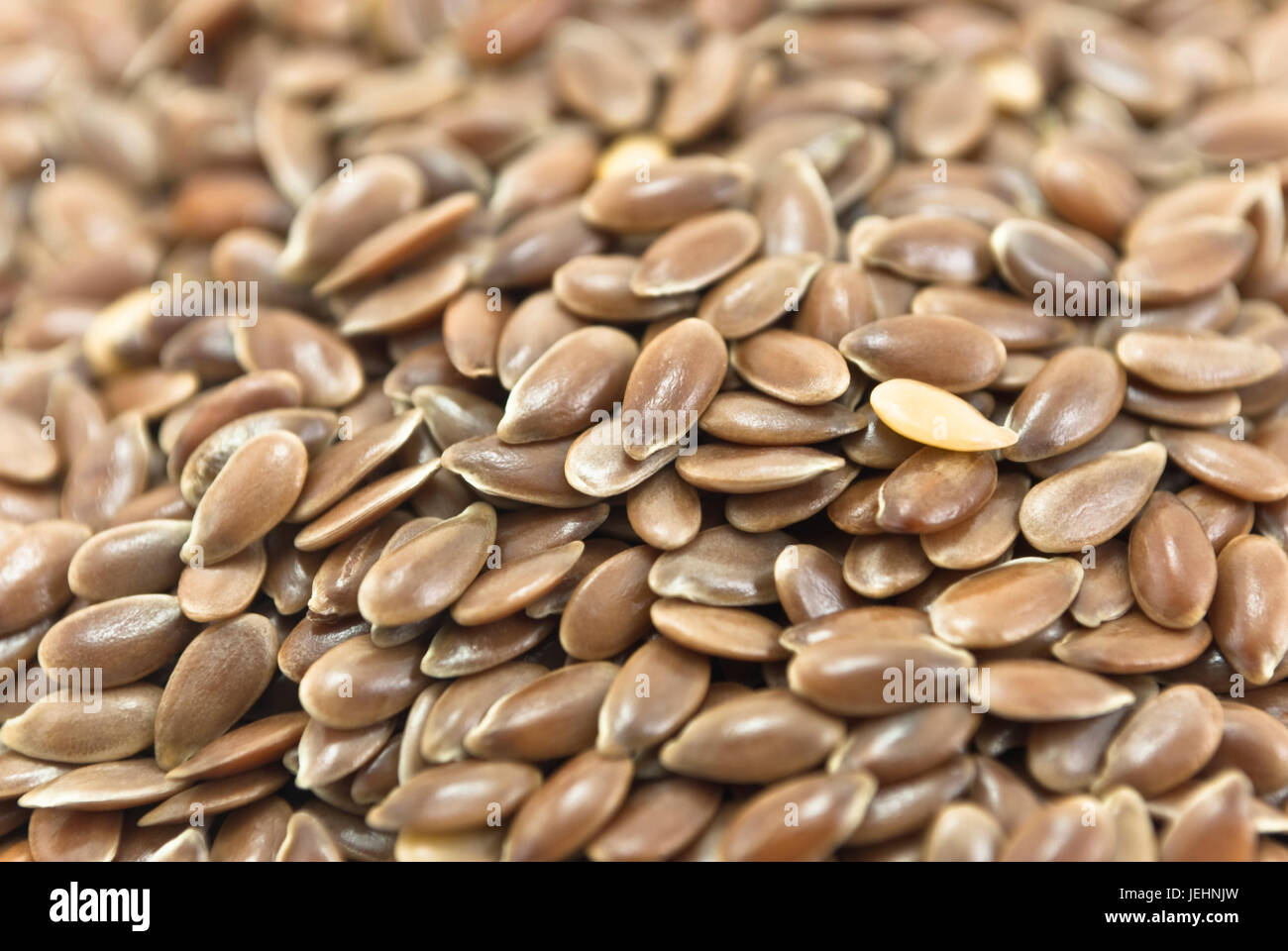 Closeup of a pile of linseeds (aka flaxseeds) filling whole frame Stock ...