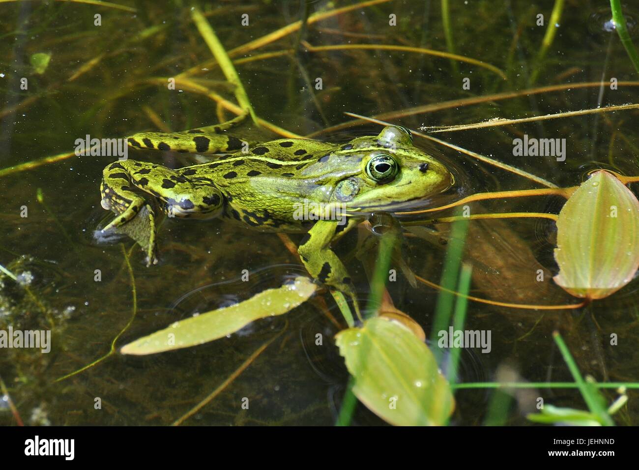 Een west hi-res stock photography and images - Alamy