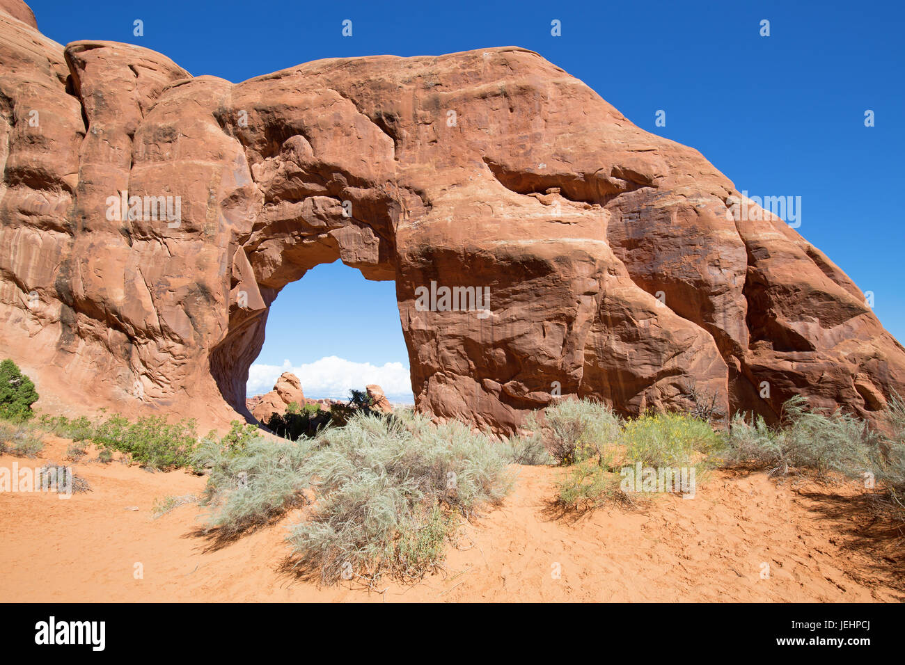Famous Pine tree arch in the Arches National park, Utah, USA Stock ...