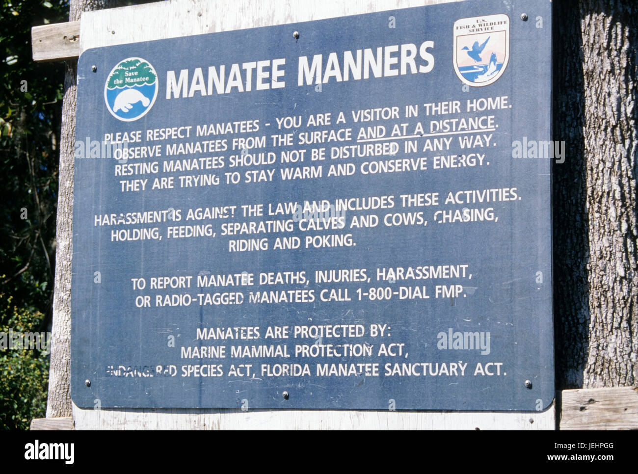 Save The Manatee Signs