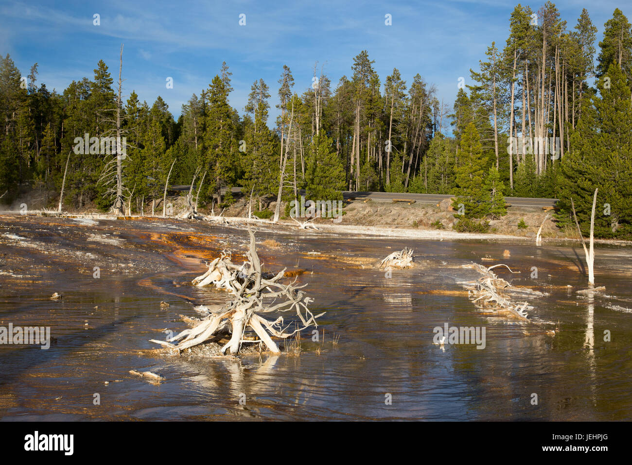 Lower geyser basin in the Yellowstone National park, USA Stock Photo ...
