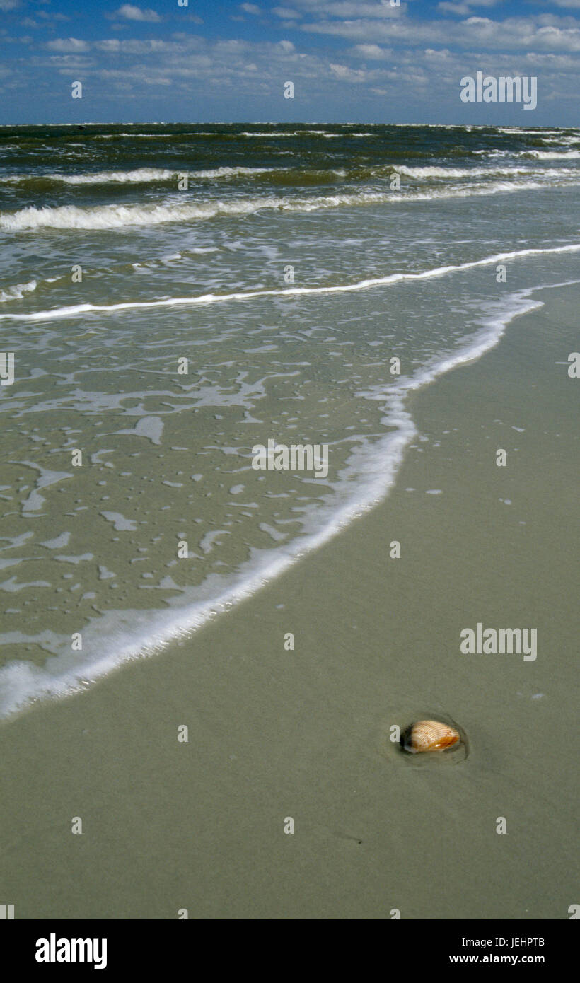 St simons island beach hi-res stock photography and images - Alamy