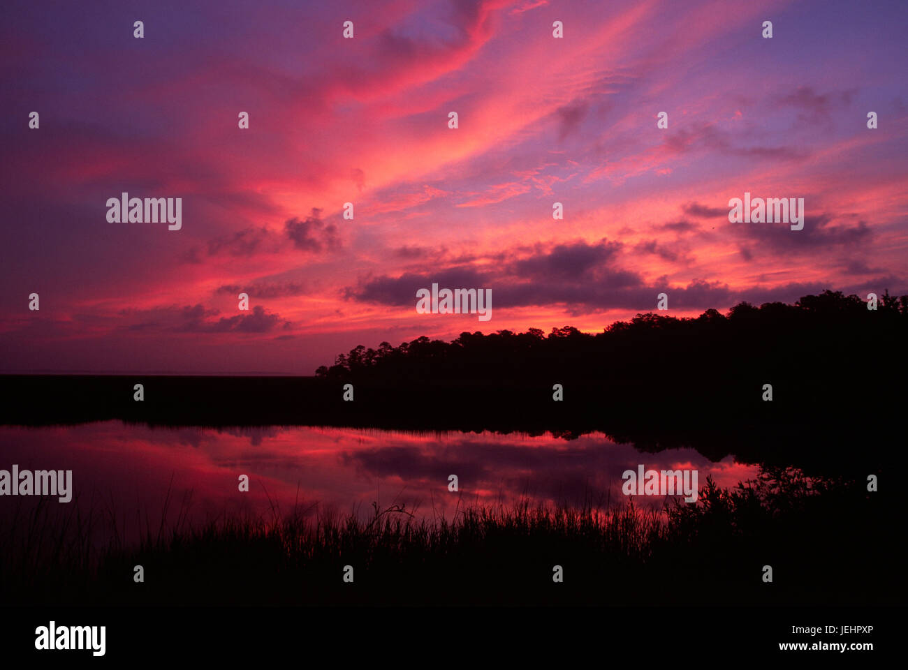 Salt marsh estuary georgia hi-res stock photography and images - Alamy