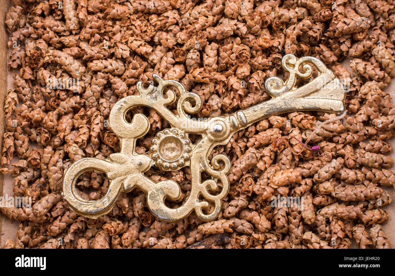 Plenty of Retro styled golden color keys Stock Photo - Alamy