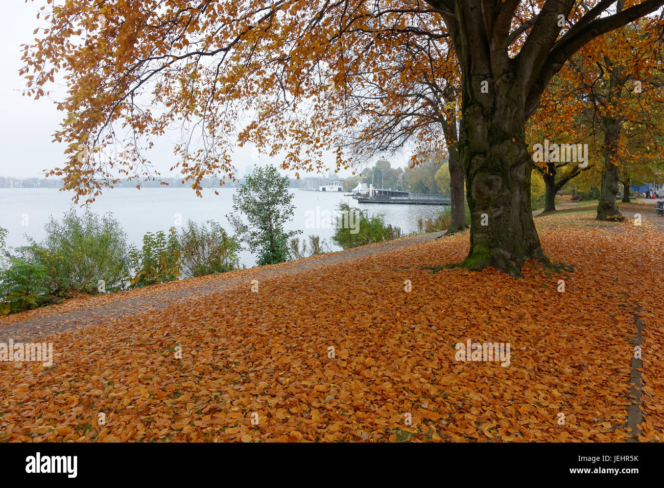 Der alster hi-res stock photography and images - Alamy