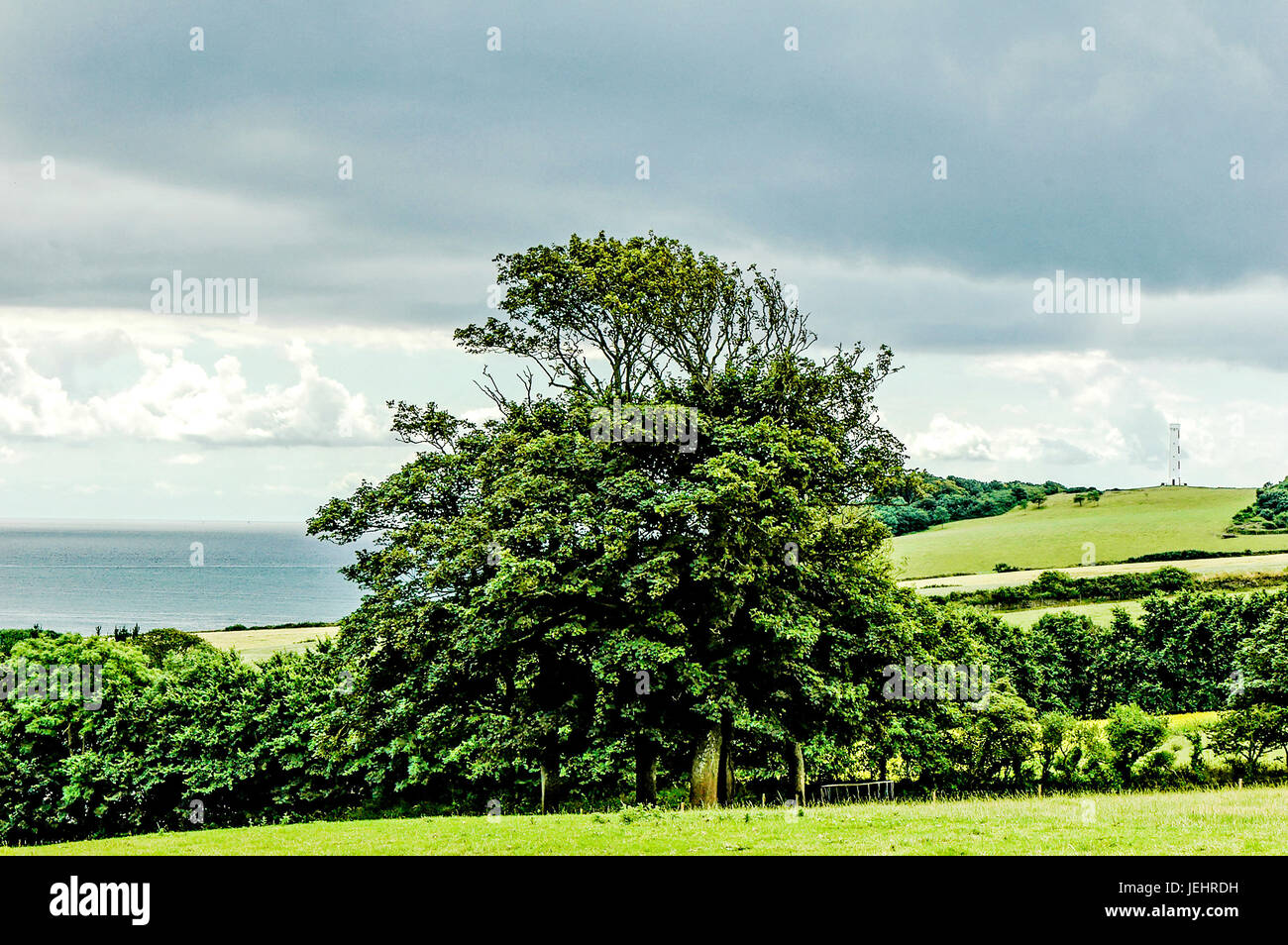 Menabilly estate fowey cornwall hi-res stock photography and images - Alamy