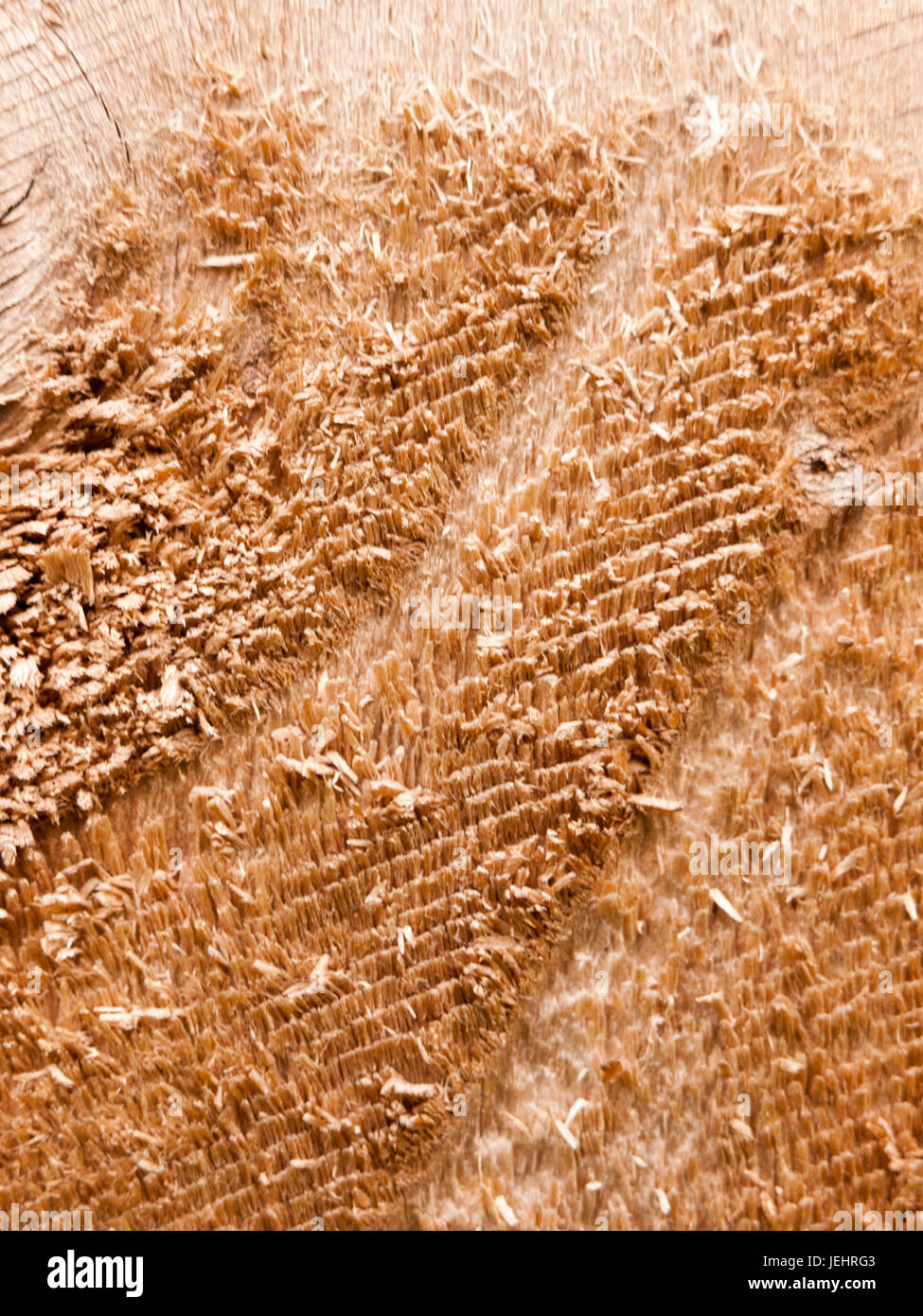 close up rough texture of a wooden post surface outside in light ...