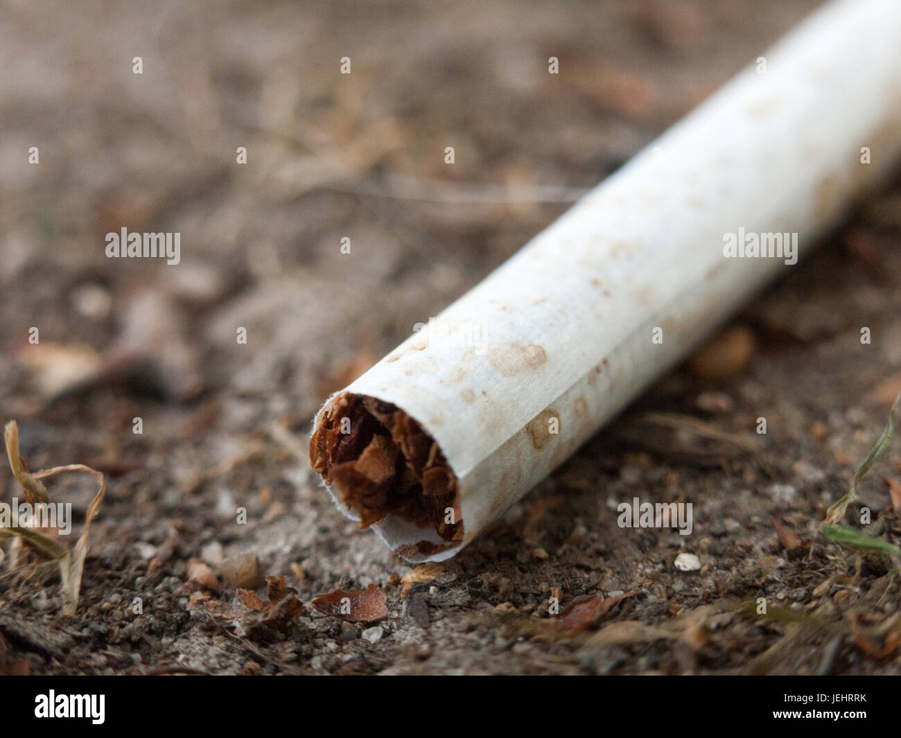 discarded cigarette on the ground stick intact Stock Photo - Alamy