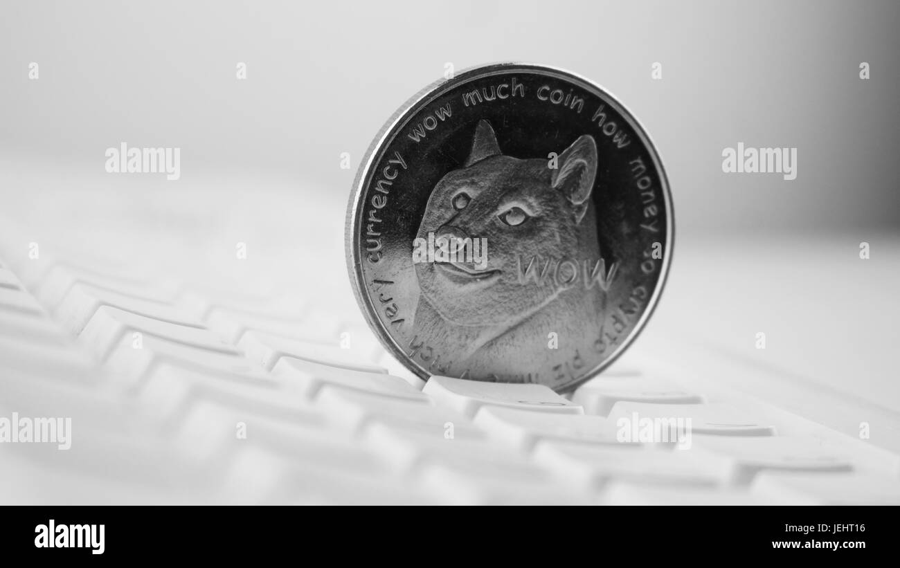 Black dogecoin Black and White Stock Photos & Images - Alamy