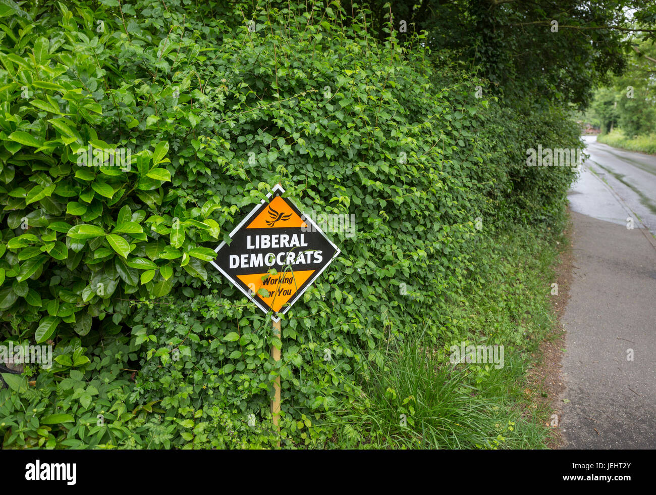 Poster for the Liberal Democrats for the June 2017 election Stock Photo ...