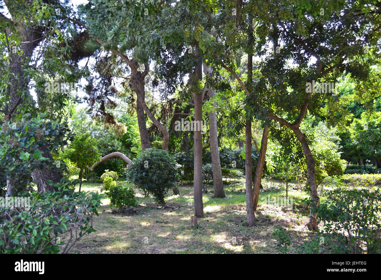 Athens botanic garden hi-res stock photography and images - Alamy