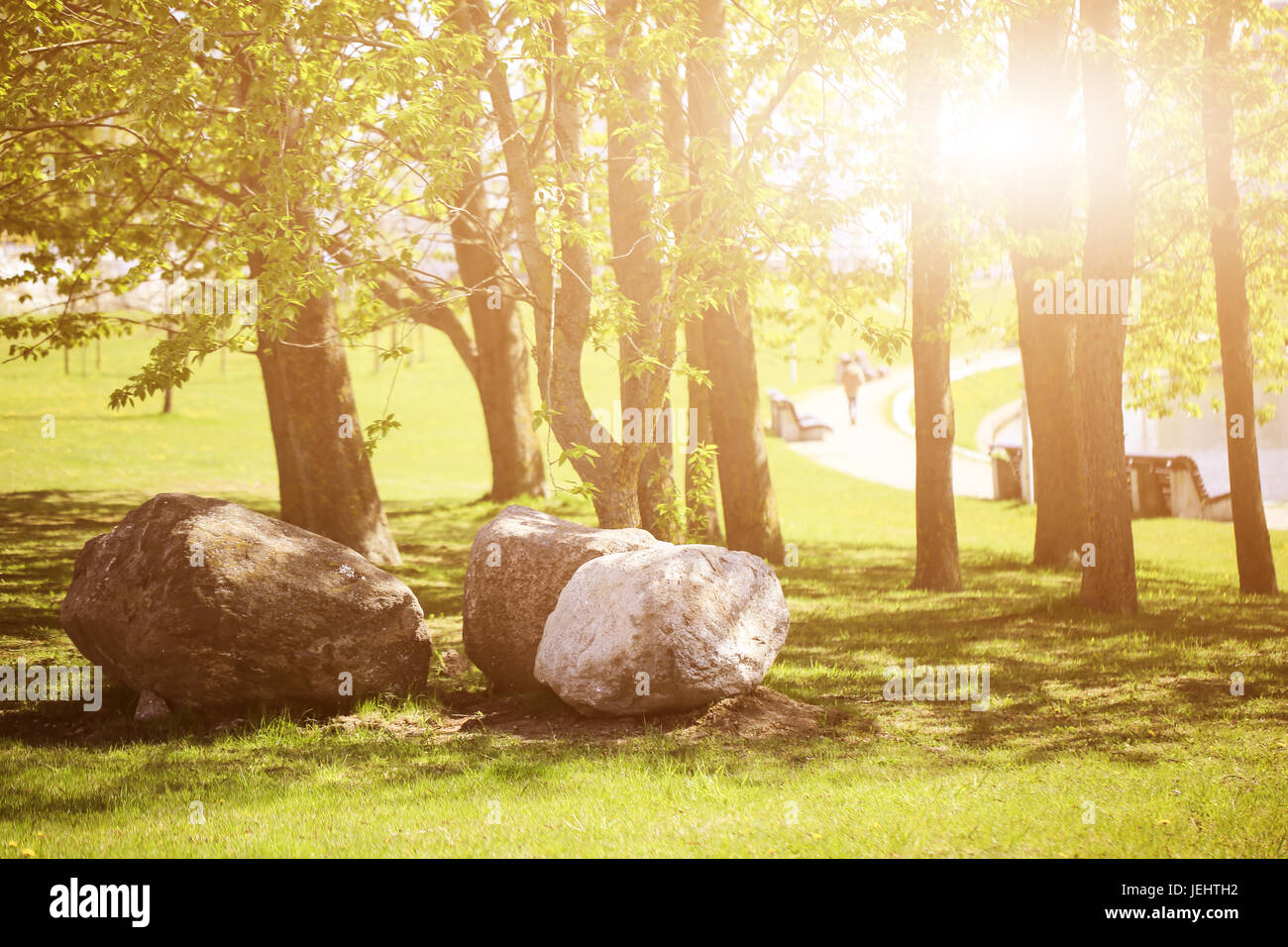 Walkway pathway with branches and big stones curve in public park with ...