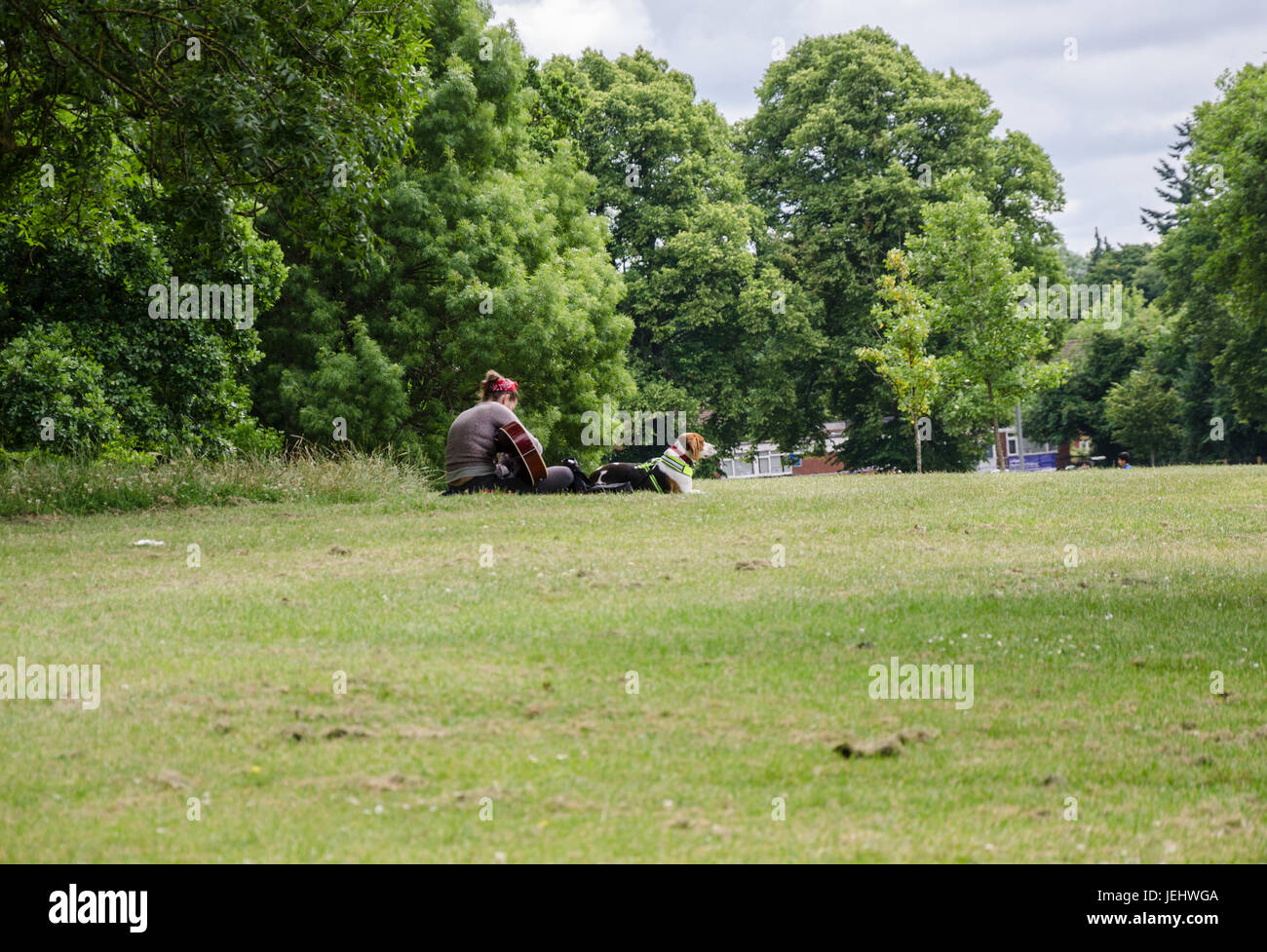 Prospect Park in Reading, Berkshire, UK Stock Photo - Alamy