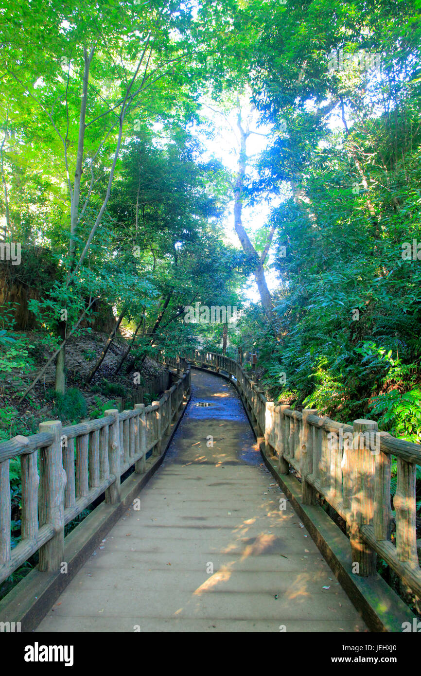 Kodaira City Stock Photos & Kodaira City Stock Images - Alamy