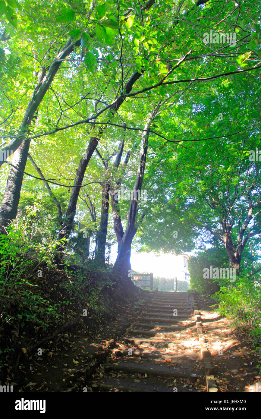 Footpath along Tamagawa Aqueduct in Kodaira city Tokyo Japan Stock ...