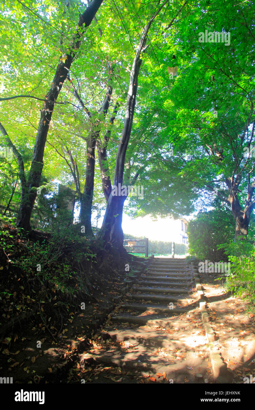 Footpath along Tamagawa Aqueduct in Kodaira city Tokyo Japan Stock ...