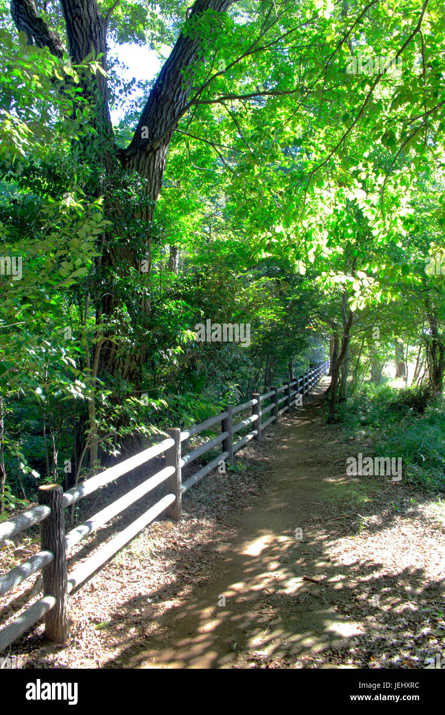 Footpath along Tamagawa Aqueduct in Kodaira city Tokyo Japan Stock ...