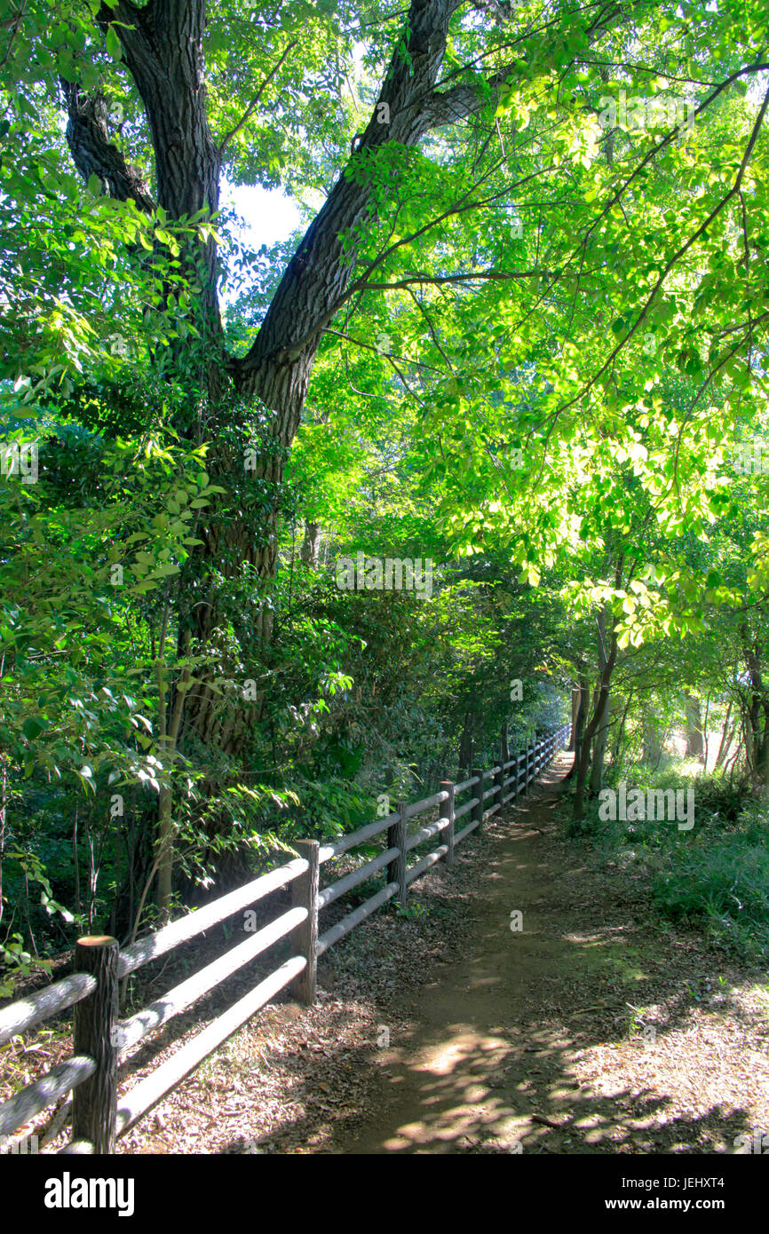 Footpath along Tamagawa Aqueduct in Kodaira city Tokyo Japan Stock ...