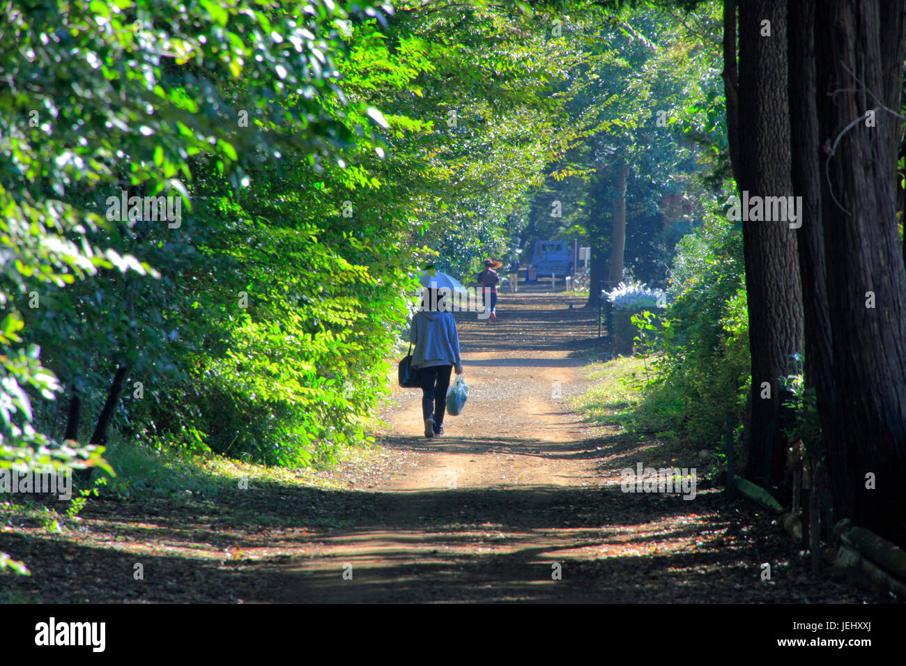 Footpath along Tamagawa Aqueduct in Kodaira city Tokyo Japan Stock ...
