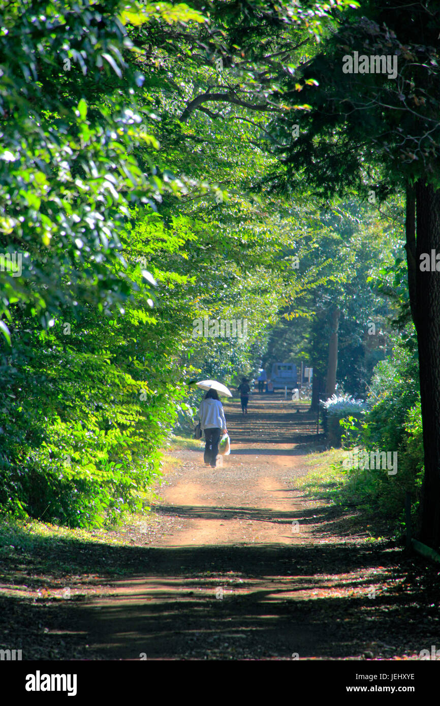 Footpath along Tamagawa Aqueduct in Kodaira city Tokyo Japan Stock ...