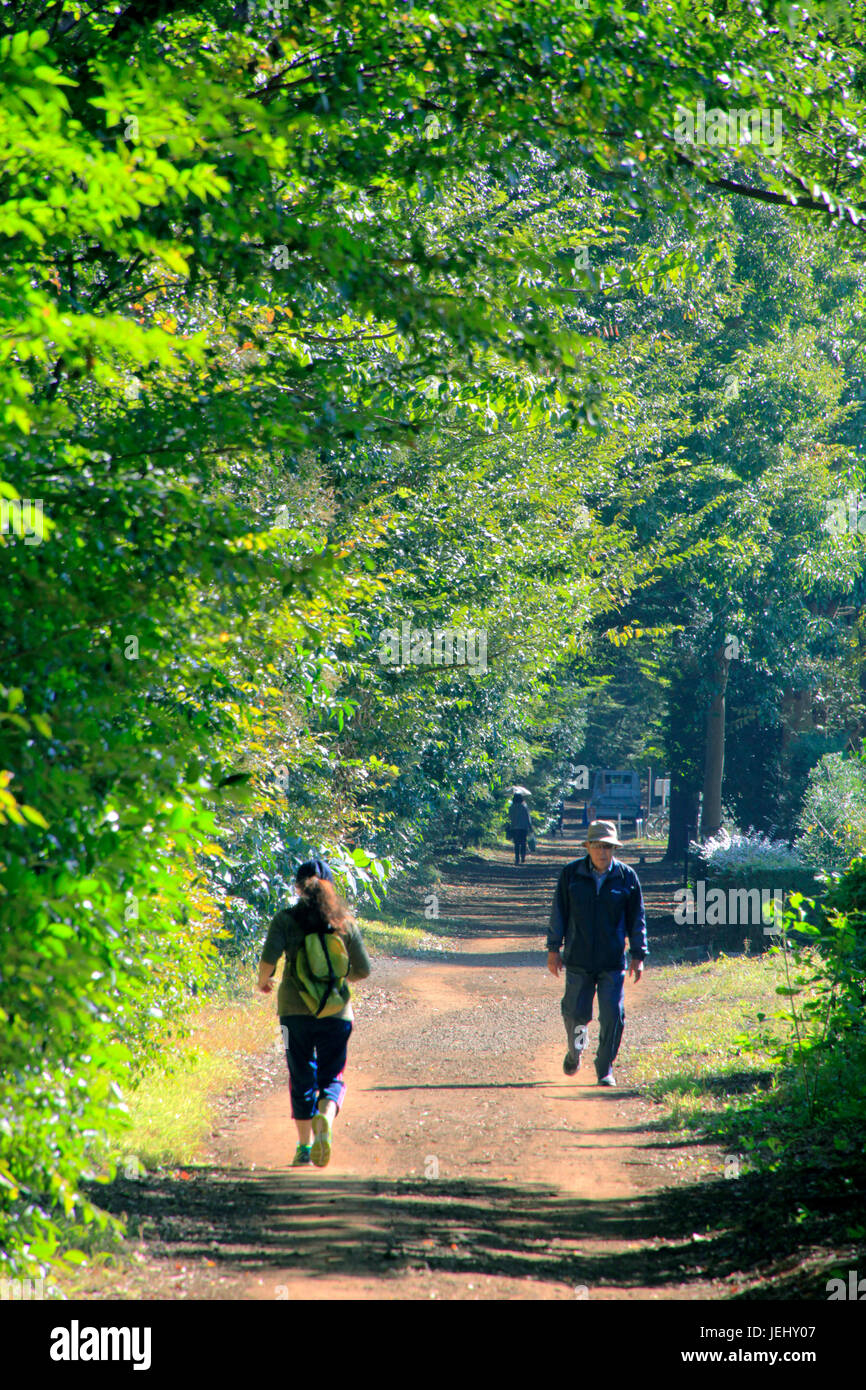 Footpath along Tamagawa Aqueduct in Kodaira city Tokyo Japan Stock ...