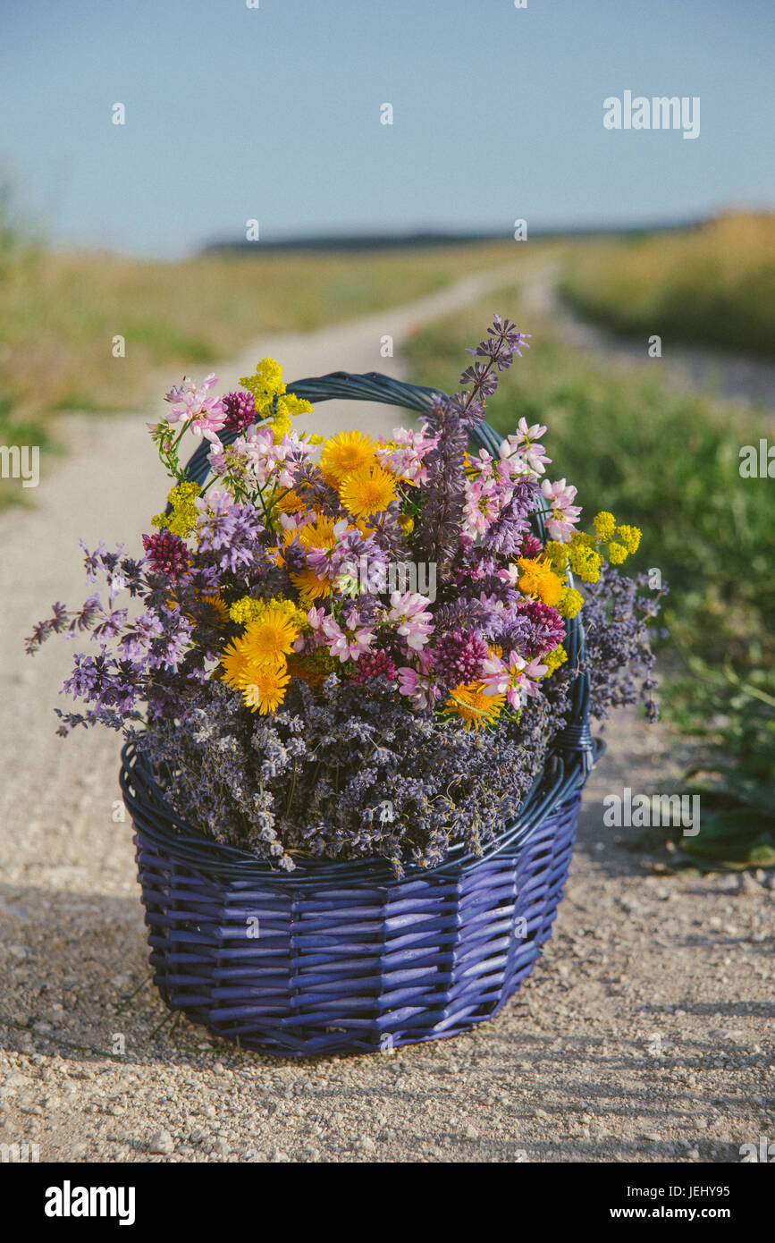 Wildflowers in basket. A bouquet of different flowers in basket on a ...