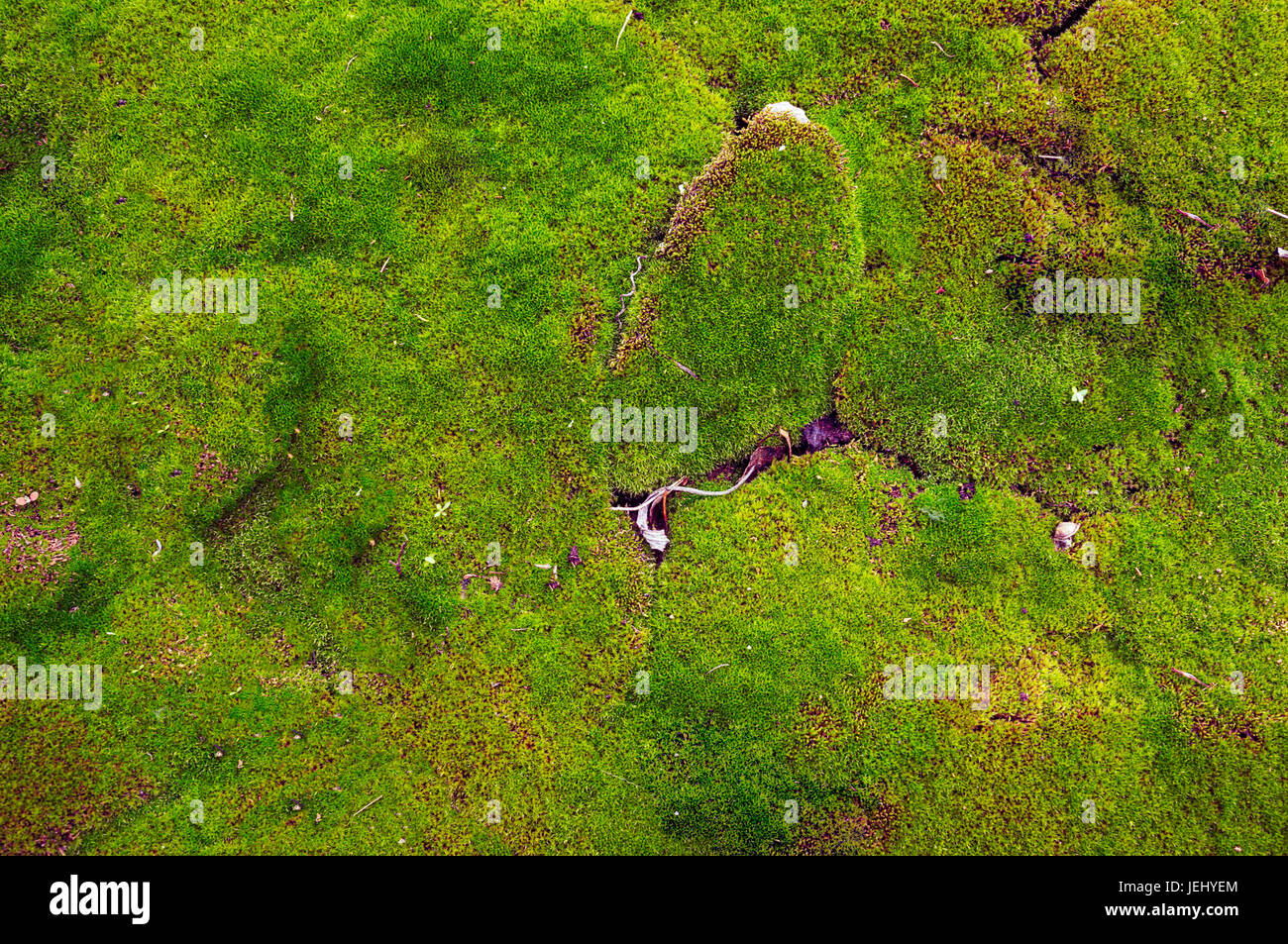 Soft soil texture hi-res stock photography and images - Alamy