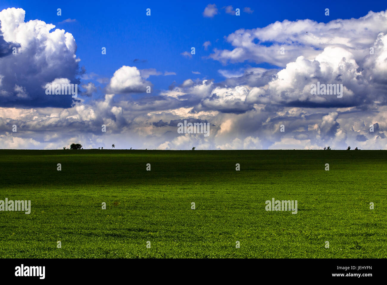 Meadow with green grass and blue sky with clouds and shadow Stock Photo ...