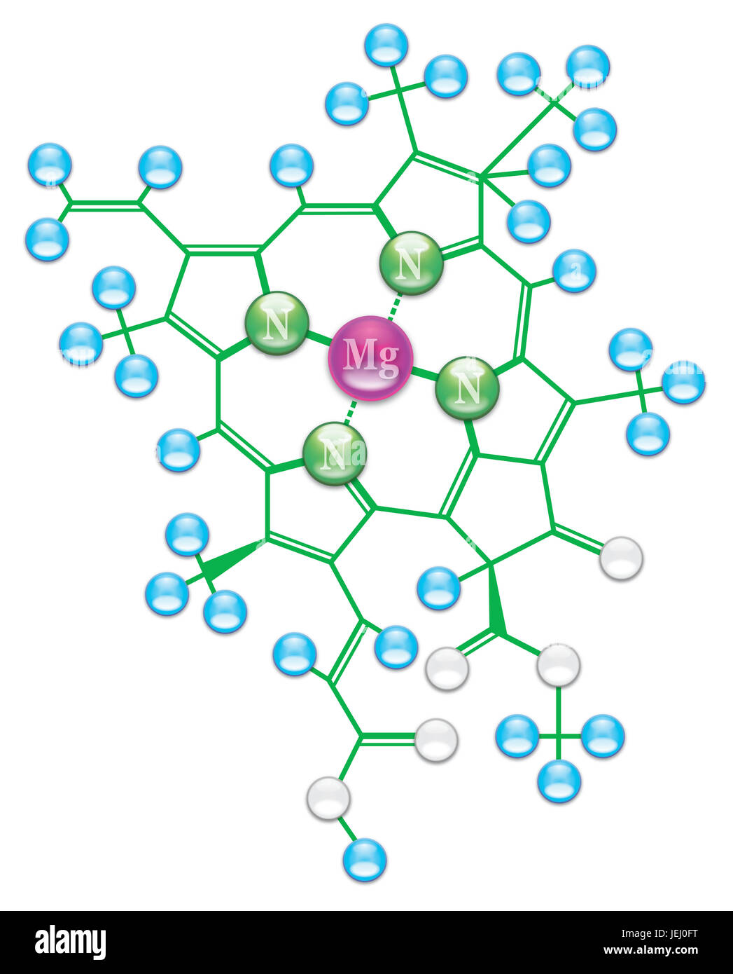 Chlorophyll Molecule Structure
