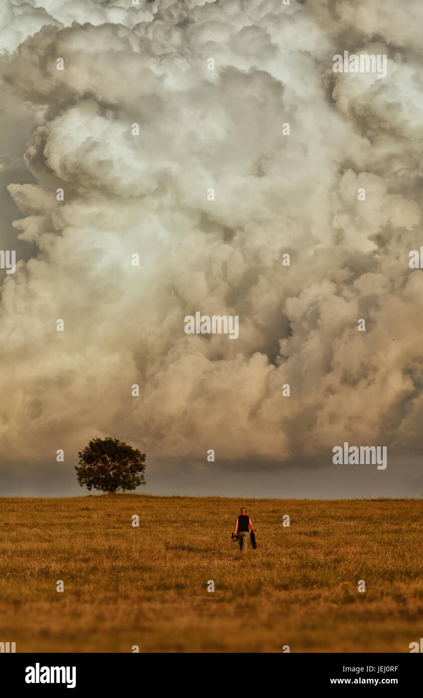 Tree in clouds hi-res stock photography and images - Alamy