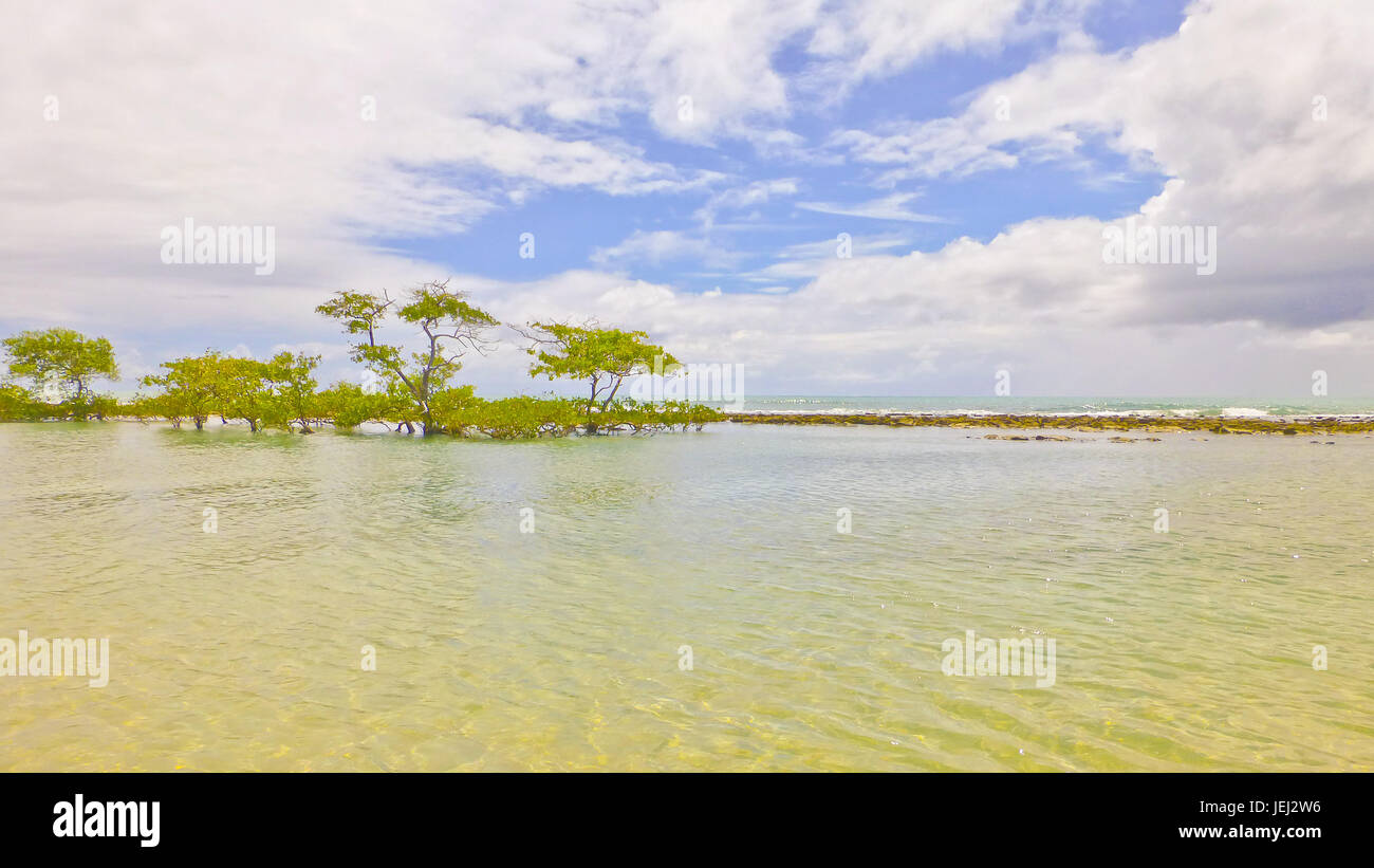 Brazil north hi-res stock photography and images - Alamy