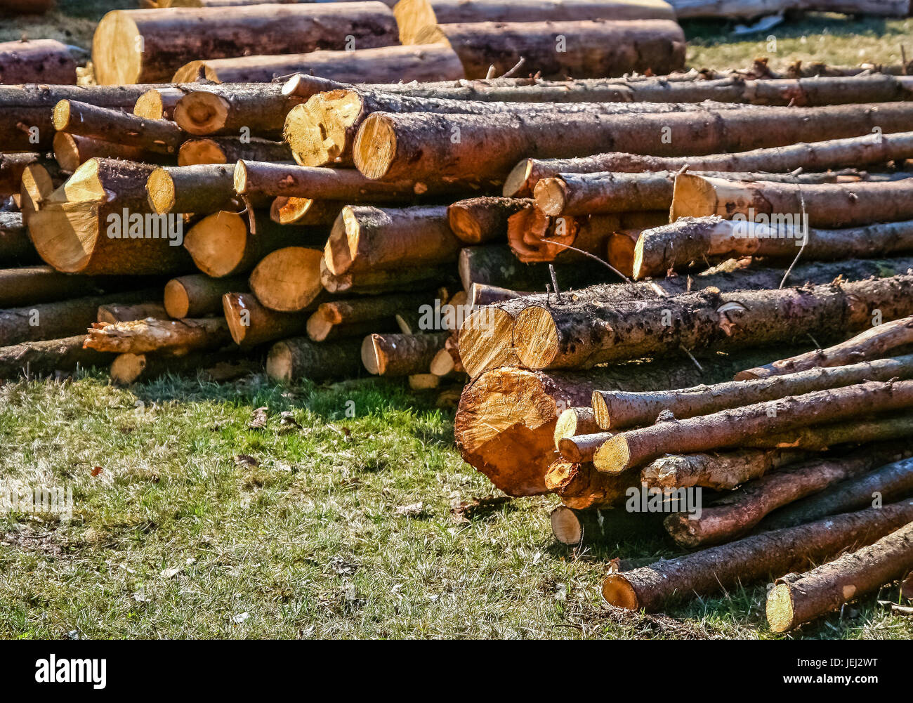 Firewood logs stacked in piles outside cottage Stock Photo - Alamy