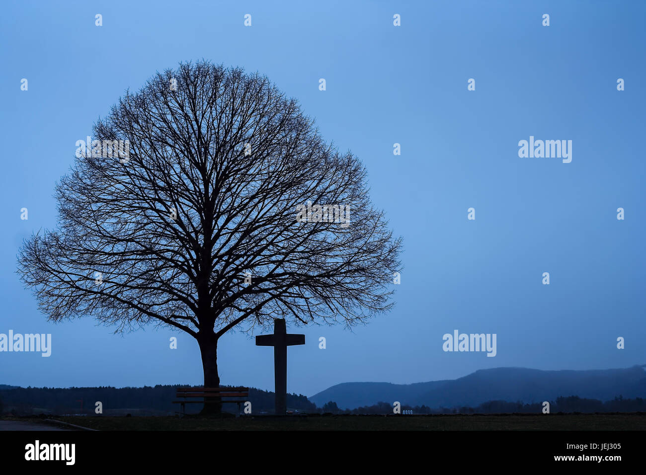Remembering Tree High Resolution Stock Photography and Images - Alamy