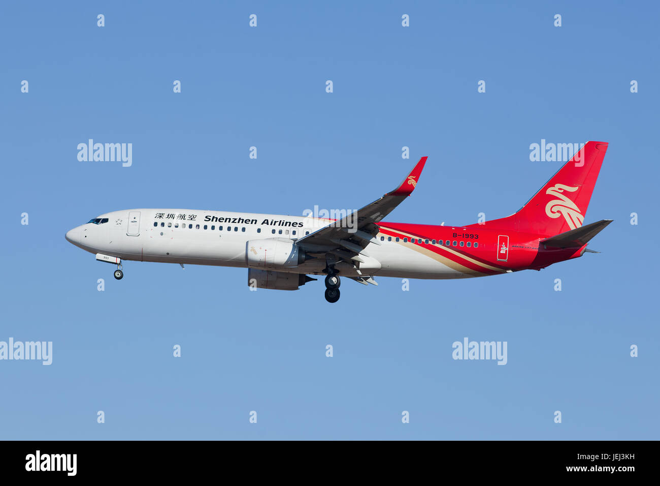 Boeing b 737 800 hi-res stock photography and images - Alamy