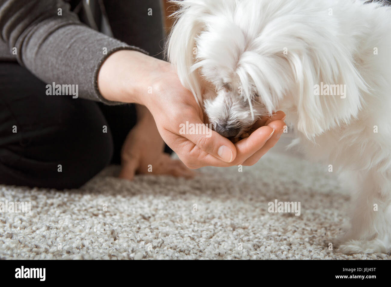 Man eating pet food from hi-res stock photography and images - Alamy