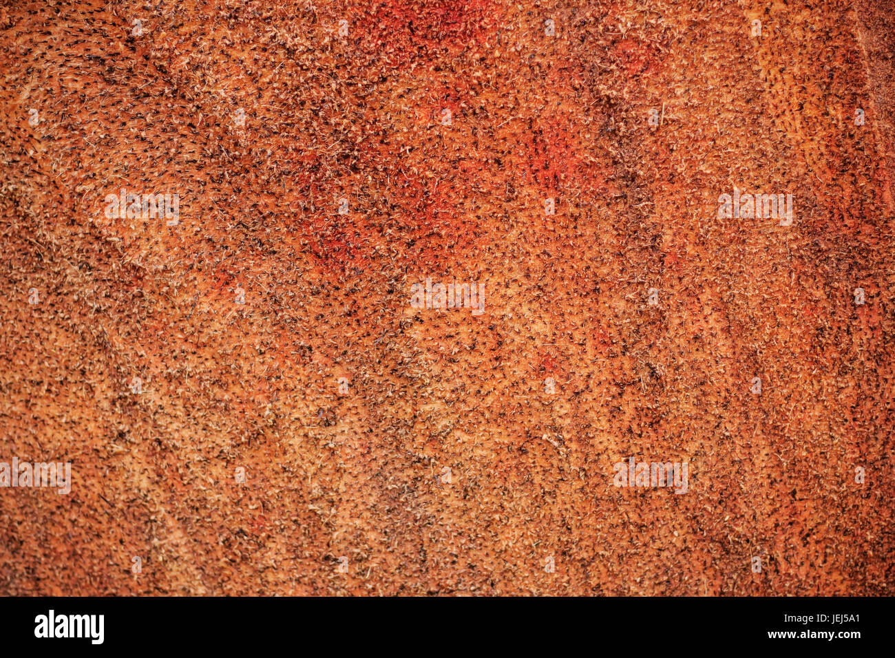 Detailed surface of the cut tree Stock Photo - Alamy