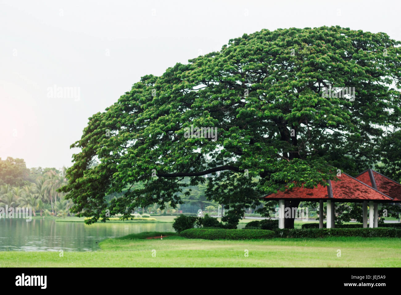 Jamjuree hi-res stock photography and images - Alamy