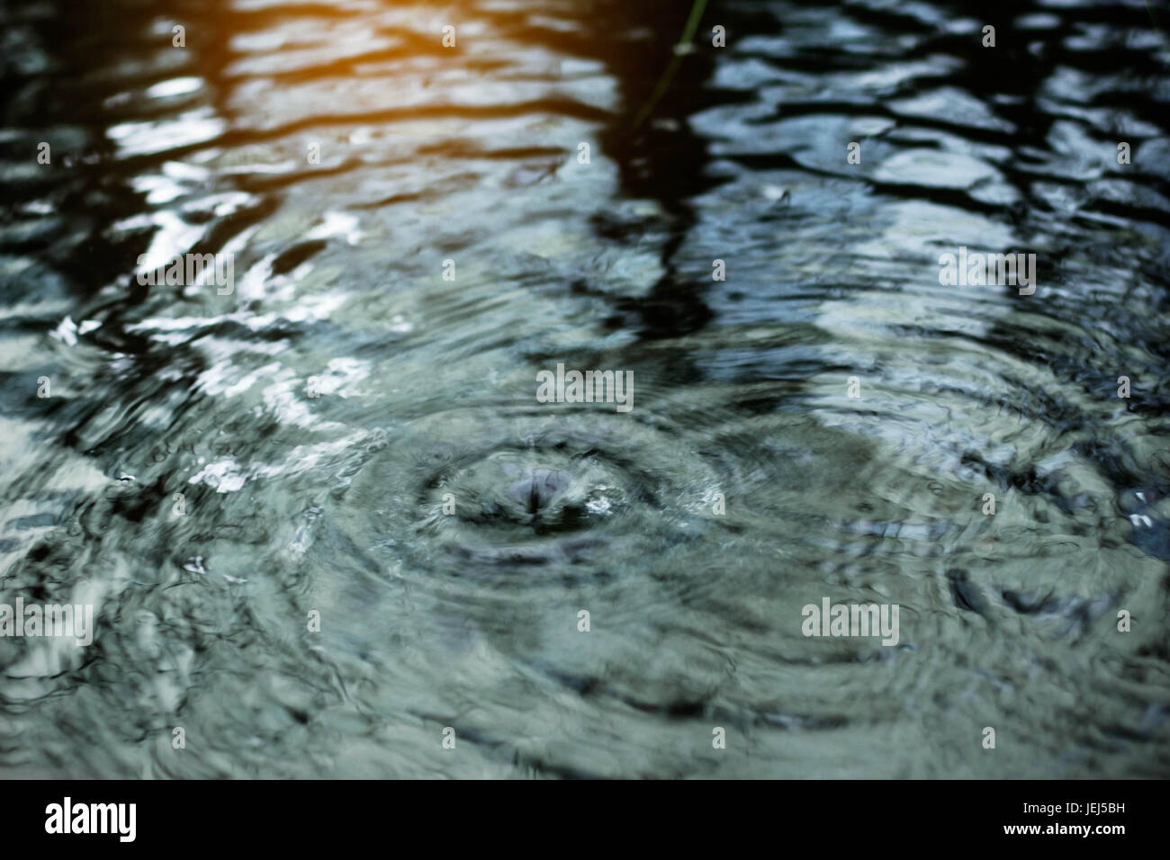 Water surface with rain reflection at sunset Stock Photo - Alamy
