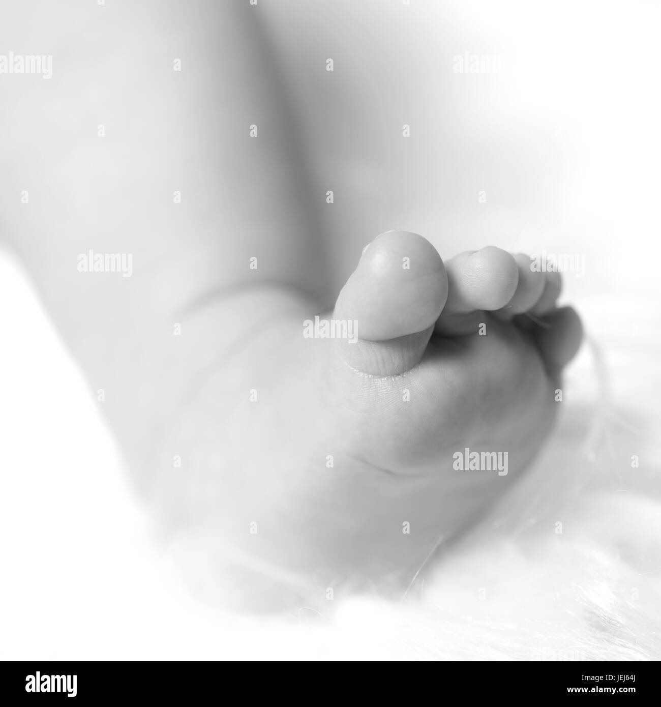 Closeup of baby feet hi-res stock photography and images - Alamy